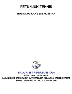 Budidaya Ikan Lele Mutiara – Akademi Perikanan Yogyakarta